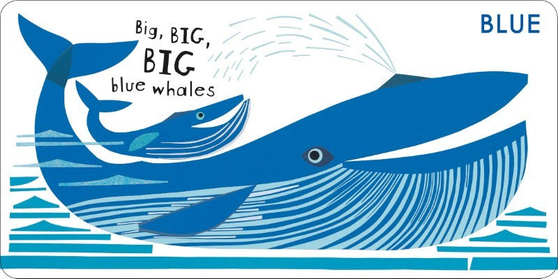 Canadian Animals in Colour Board Book - Moss Danforth